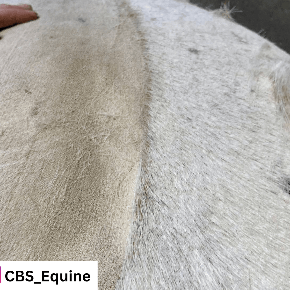 How long do clipper blades stay sharp for? – Masterclip