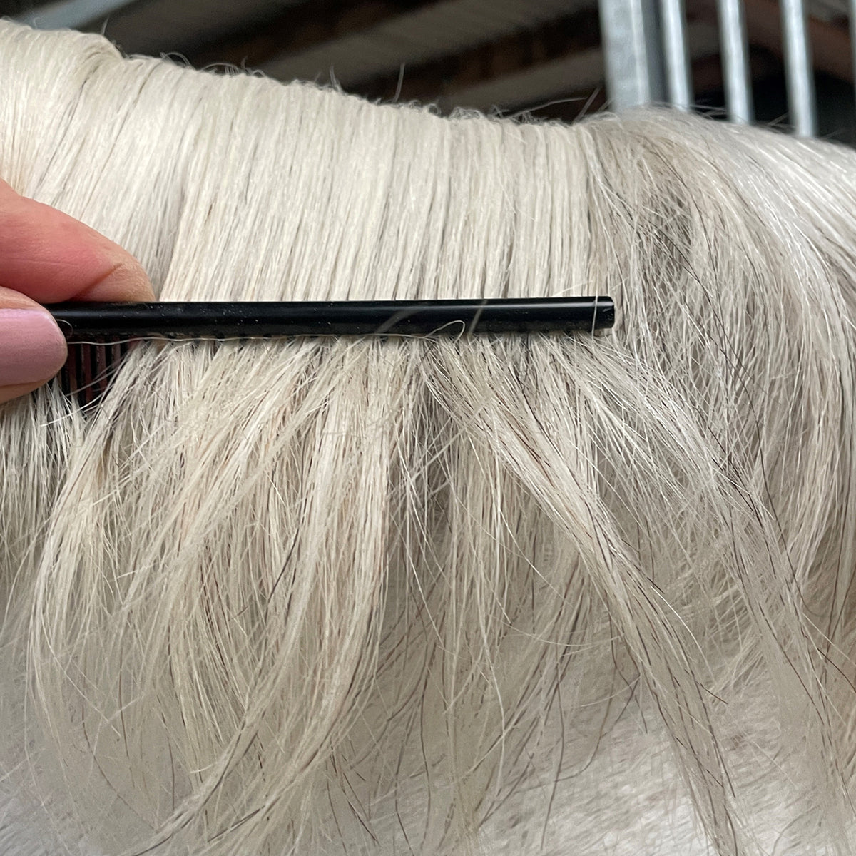 ONYX - 6" Combination Mane & Tail Comb | Masterclip